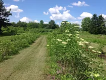 Ozark Berry Farm LLC - Naturally Meramec